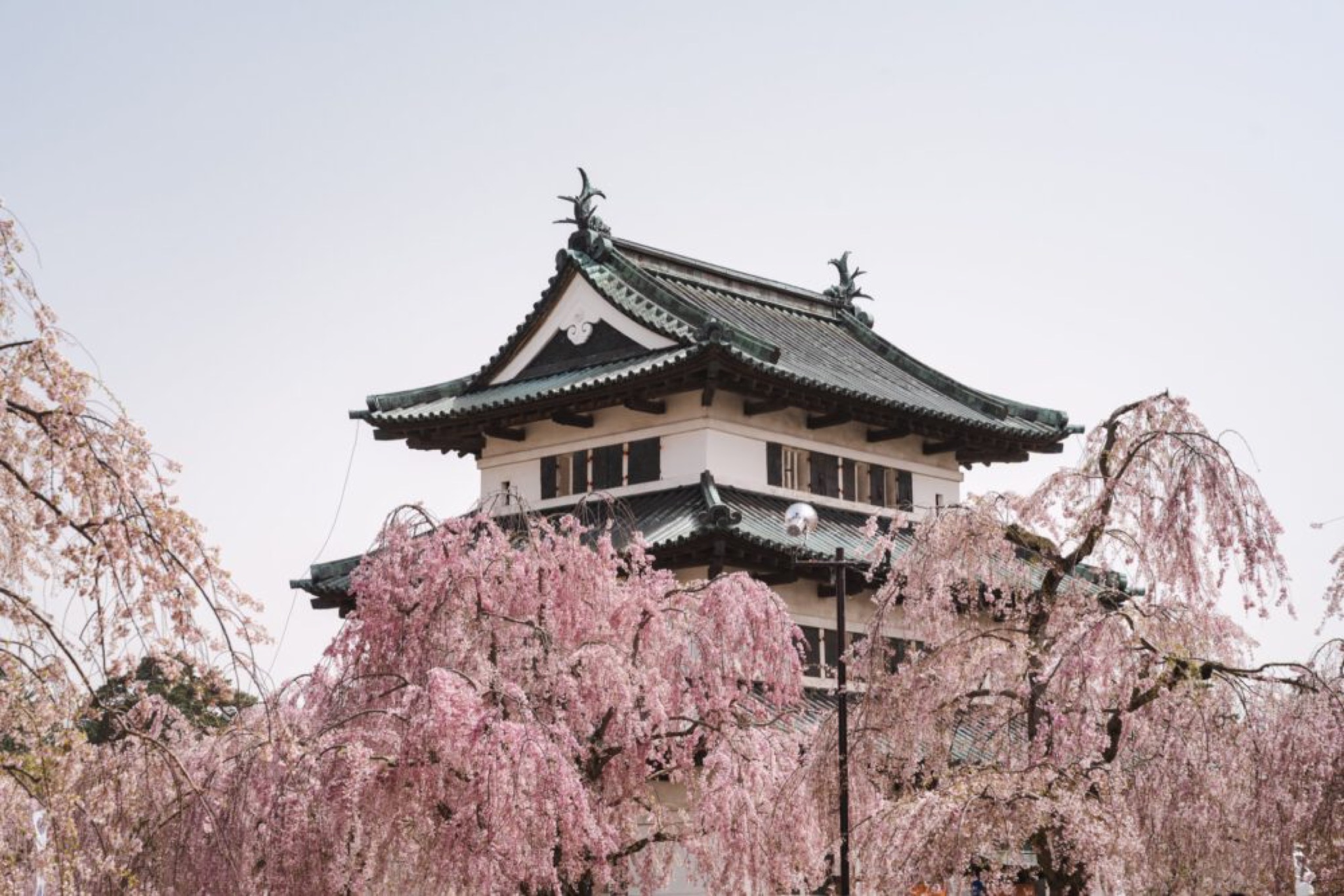 La Golden Week au Japon : conseils et recommandations | Ichiban Japan