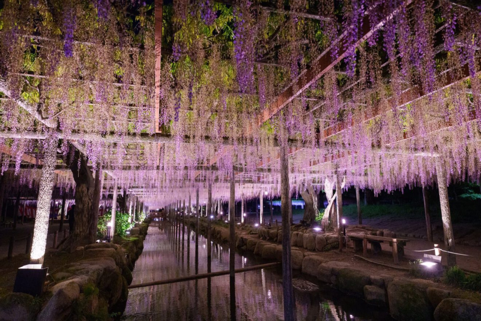 La Golden Week au Japon : conseils et recommandations | Ichiban Japan