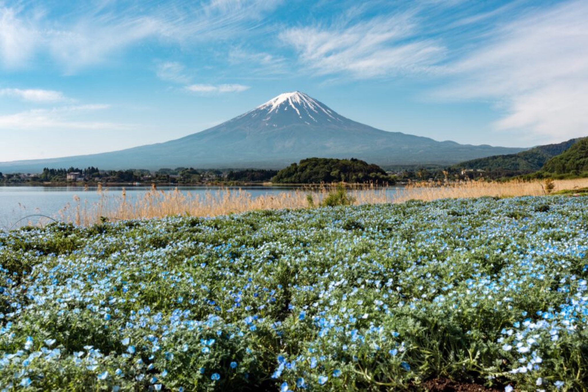 La Golden Week au Japon : conseils et recommandations | Ichiban Japan