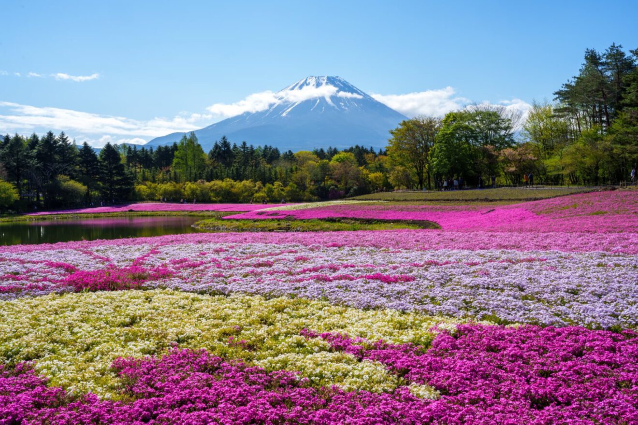 La Golden Week au Japon : conseils et recommandations | Ichiban Japan