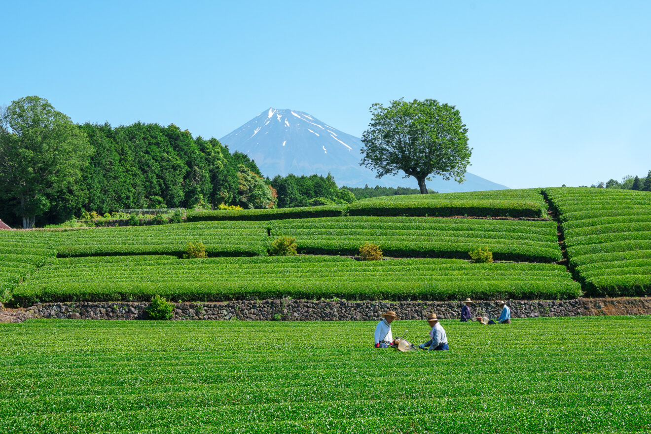 La Golden Week au Japon : conseils et recommandations | Ichiban Japan