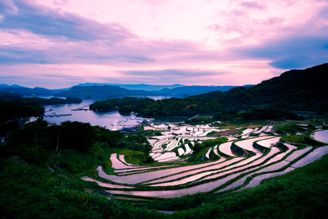 20 lieux pour admirer les rizières au Japon | Ichiban Japan