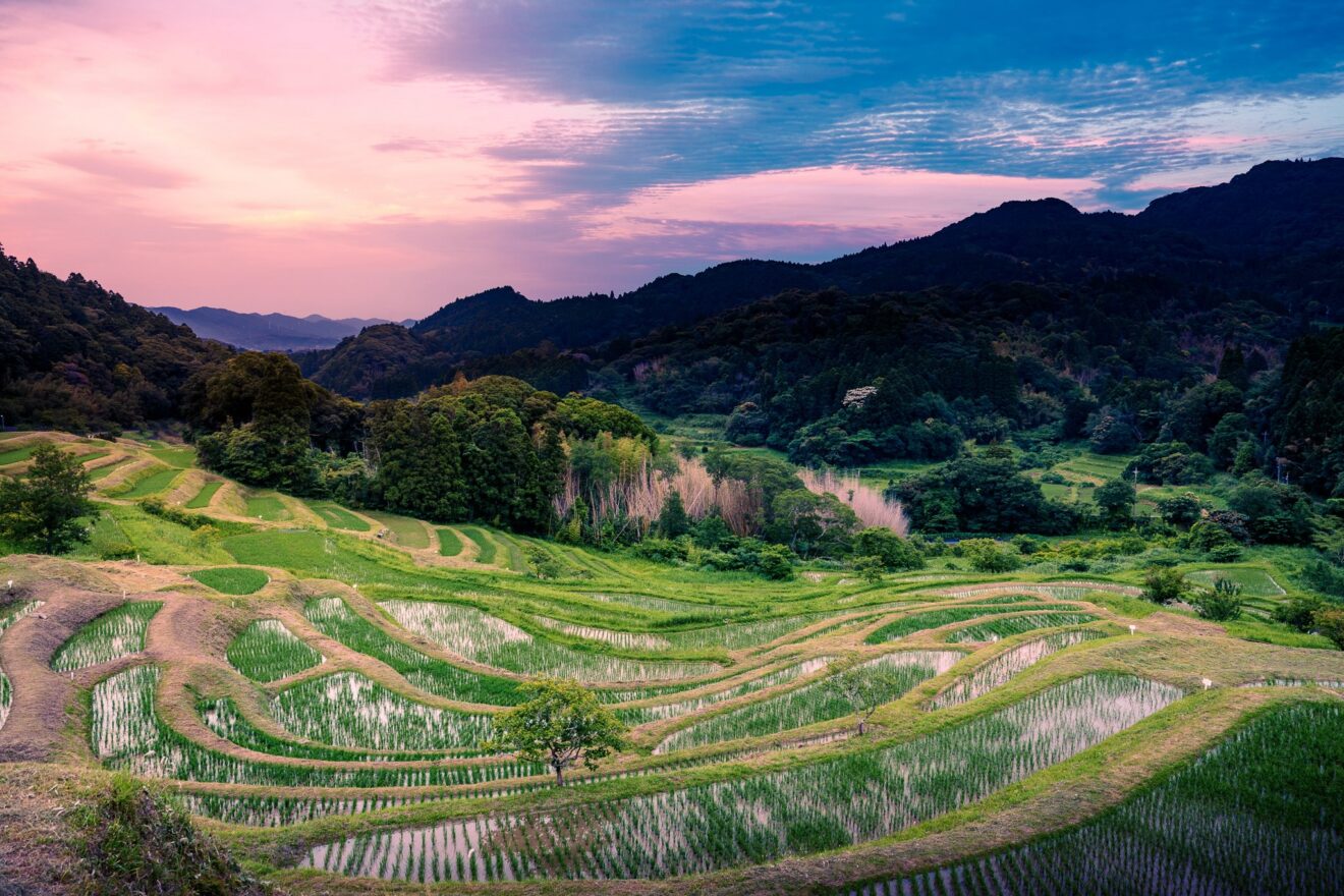 20 lieux pour admirer les rizières au Japon | Ichiban Japan