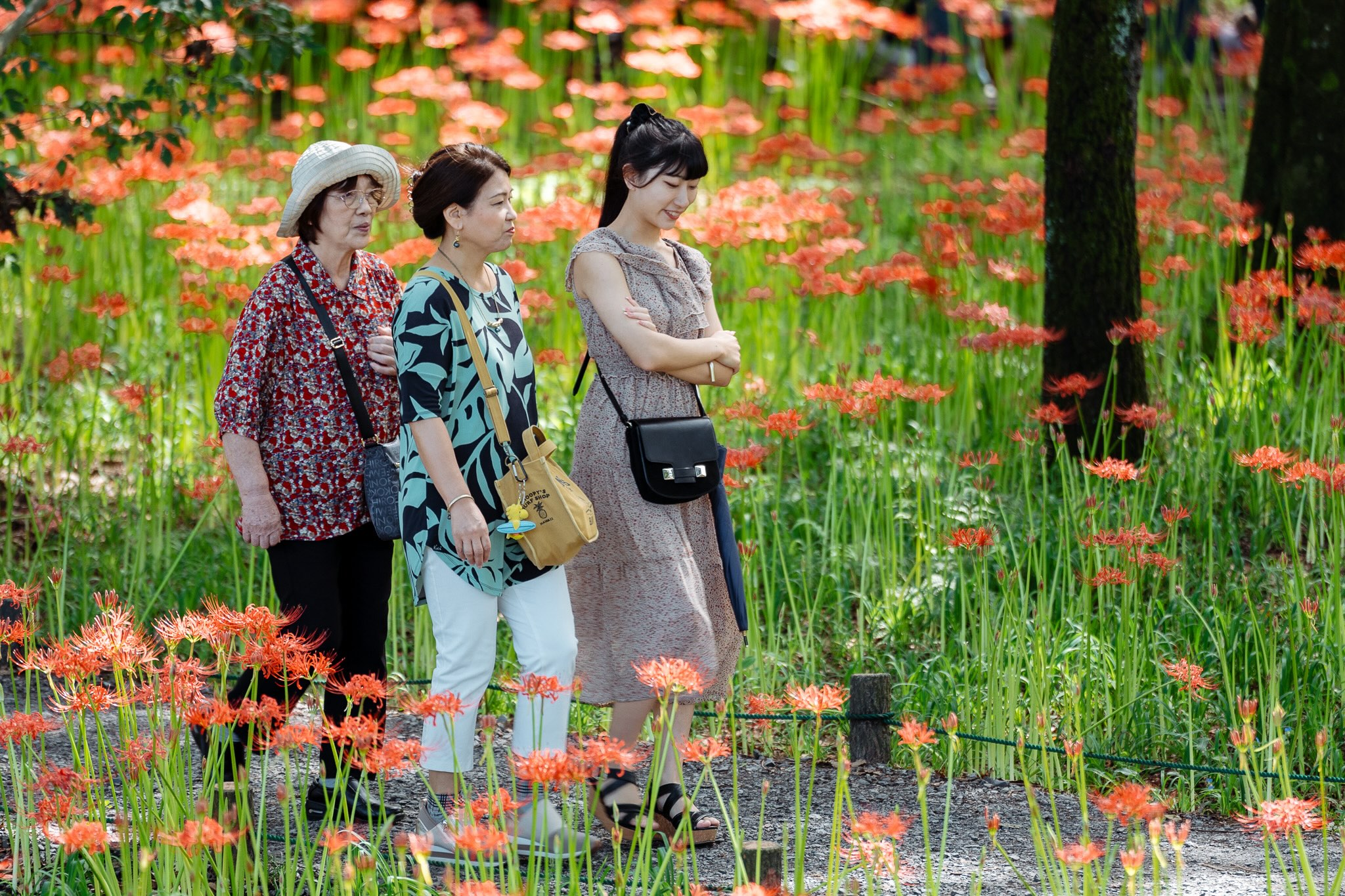 La Silver Week au Japon : conseils et recommandations | Ichiban Japan