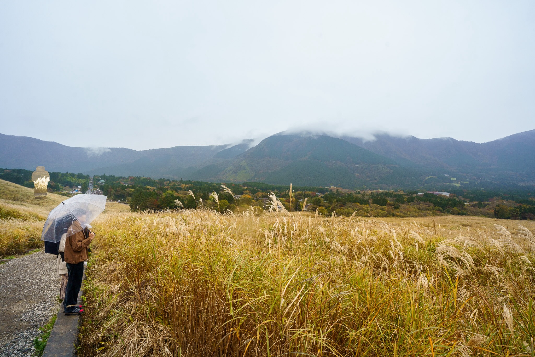 15 lieux pour profiter des Susuki au Japon en 2025 | Ichiban Japan