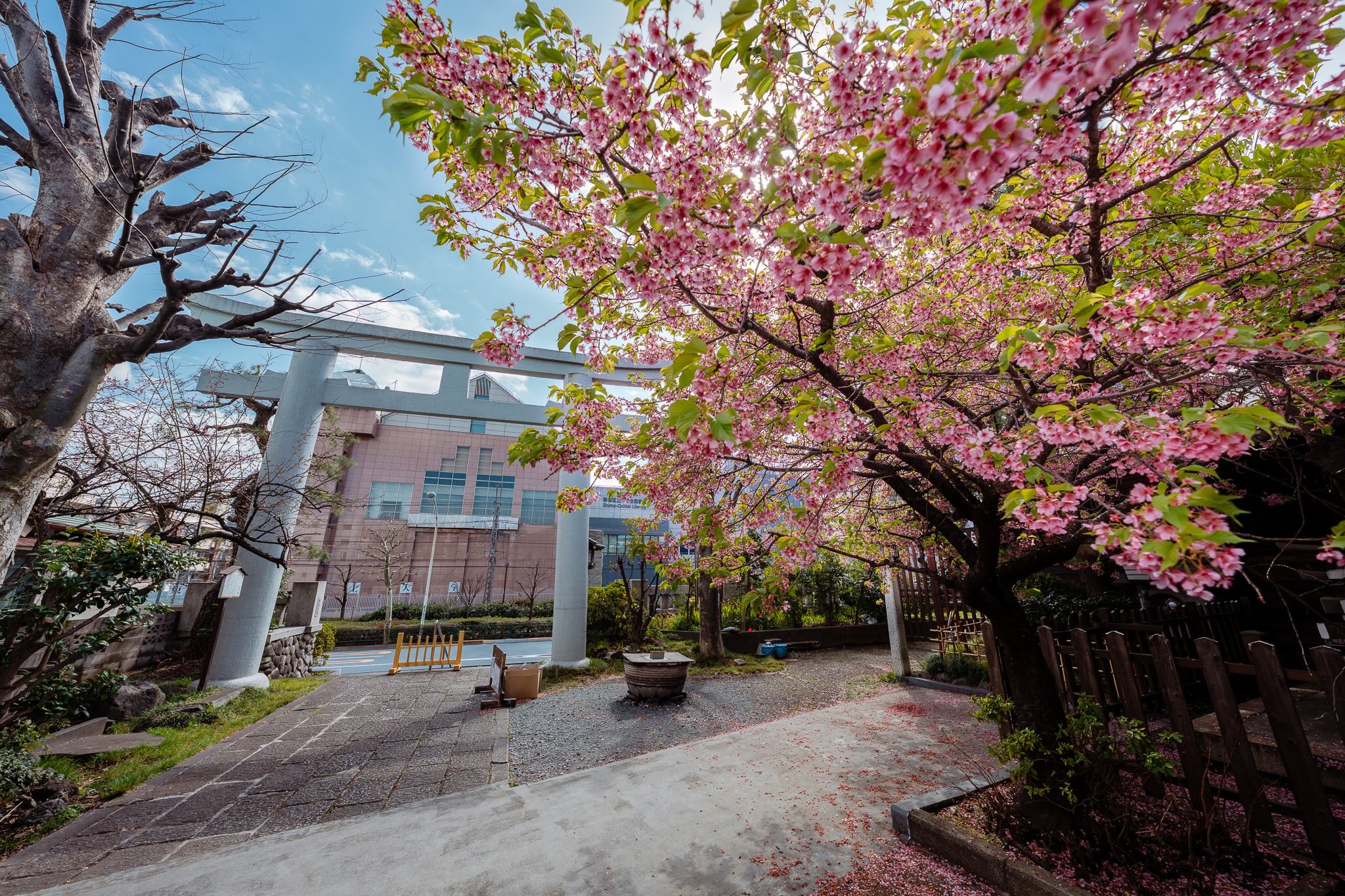 Shunbun no Hi, l’équinoxe de printemps au Japon | Ichiban Japan